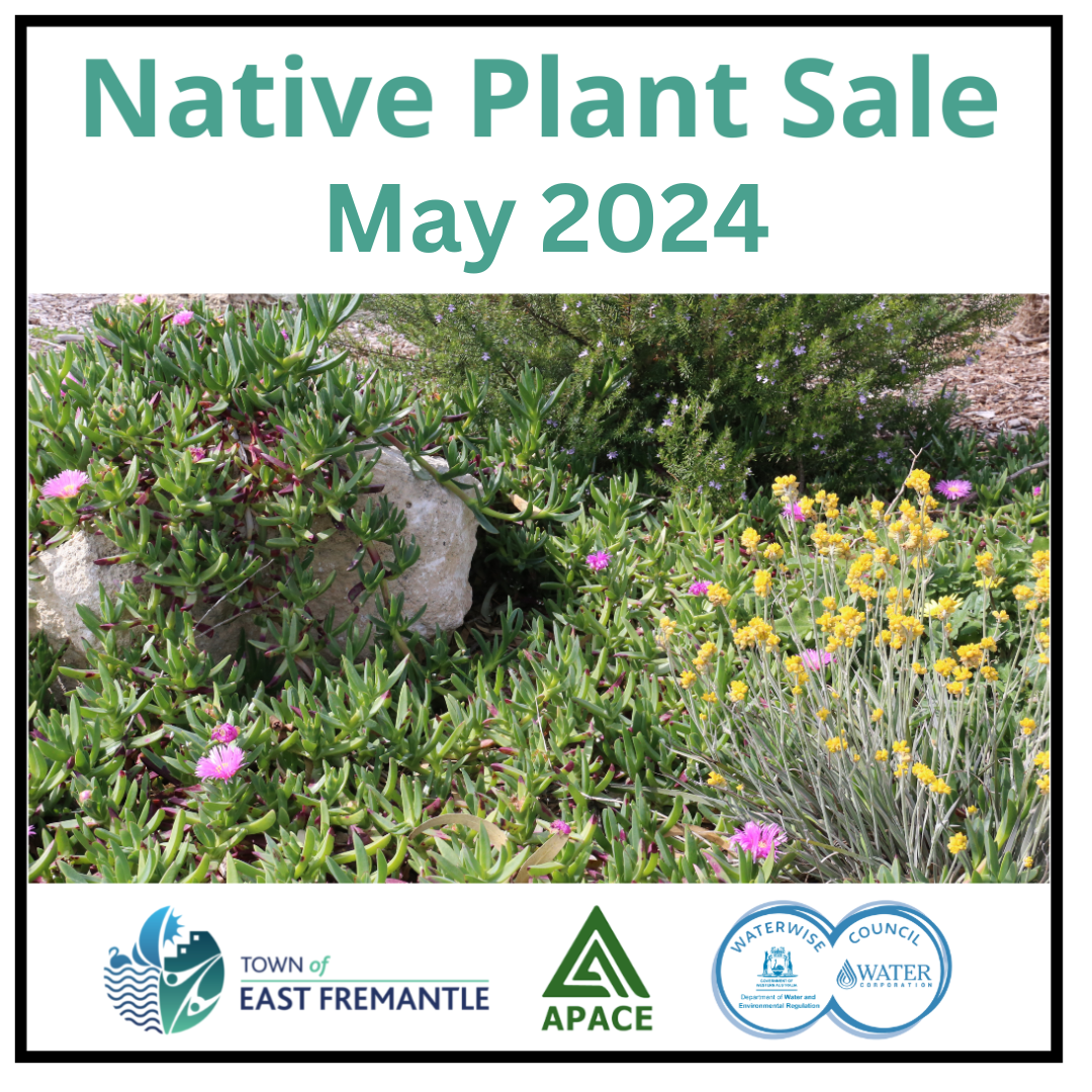 Native Plant Sale » Town of East Fremantle
